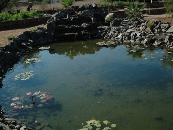 El Encanto Dos - El Encanto Restaurants